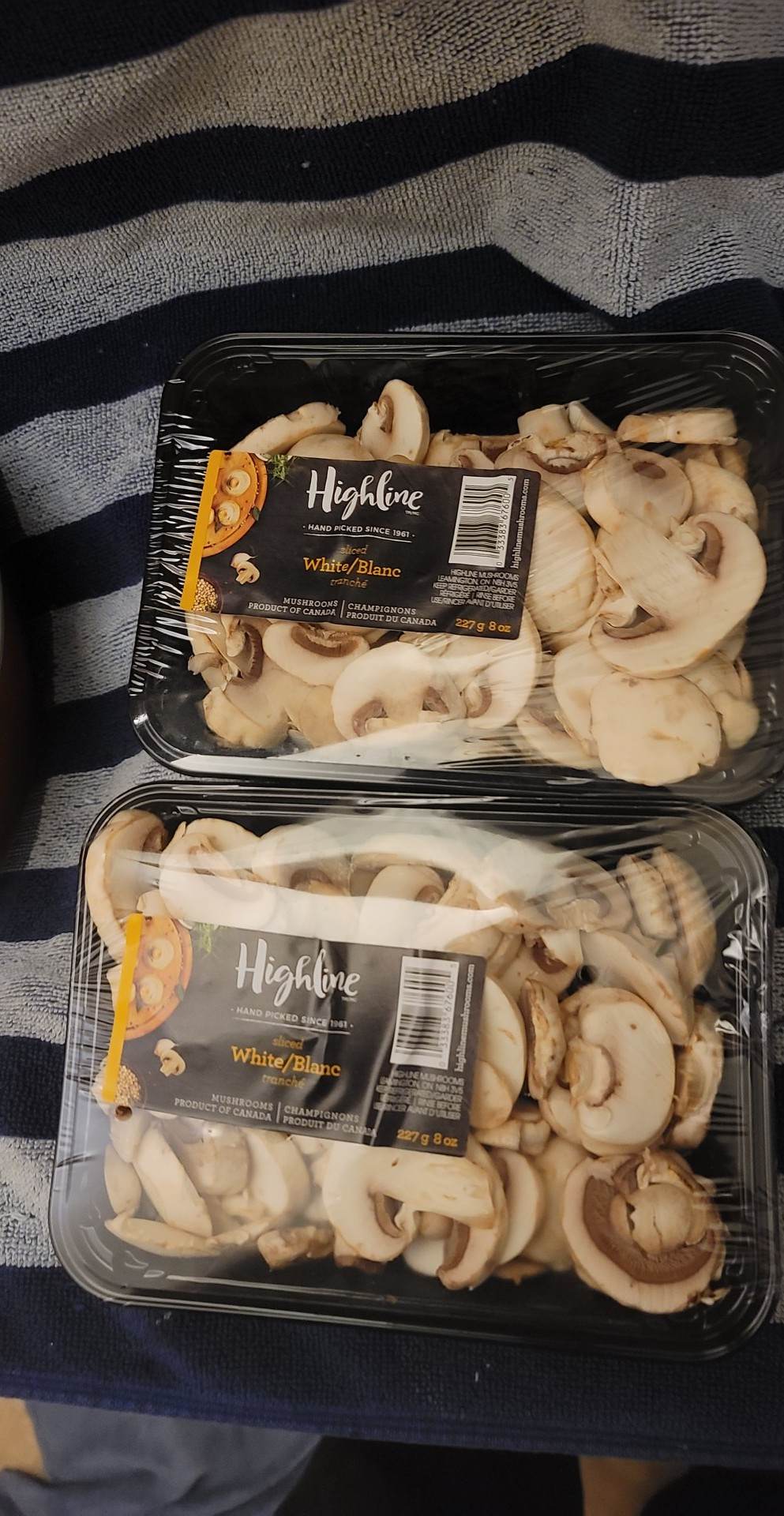 LAB NOTES: Homemade Mushroom Seasoning – Domestic Culinary Lab